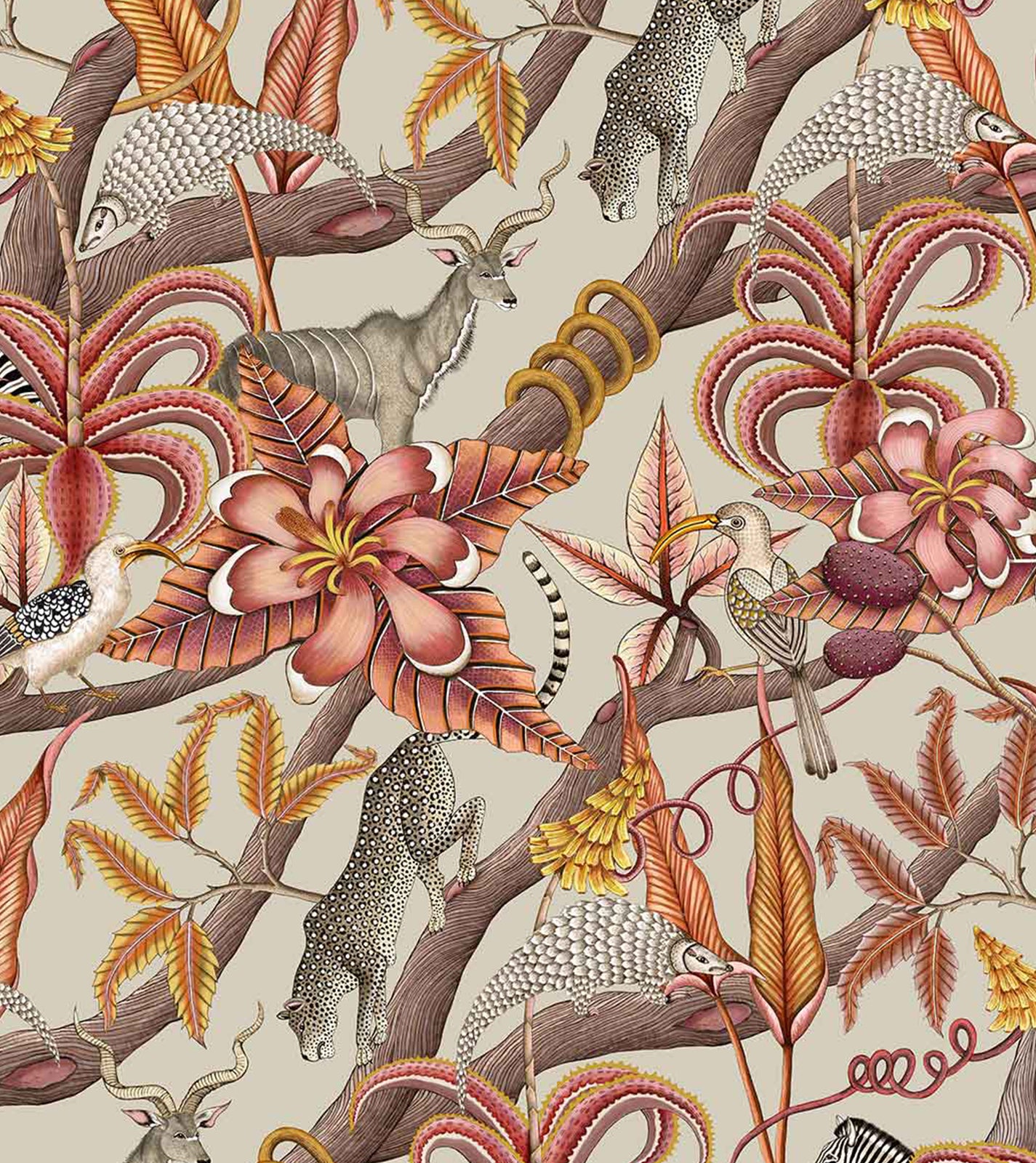 Thanda Collection – Ardmore Design