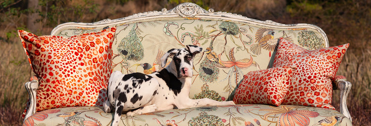 Thanda Collection – Ardmore Design