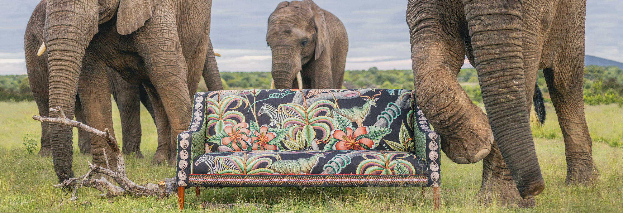 African Furniture | Modern Luxury Furniture | Animal Print Chairs ...